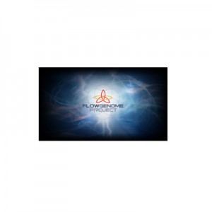 Podcast 362: The Flow Genome Project with Jamie Wheal | Inside Personal ...